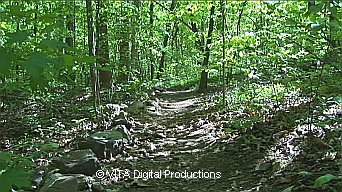 "NATURE WALK DVDs AND VIDEOS FOR VIRTUAL TRAVEL AND EXERCISE ON ...